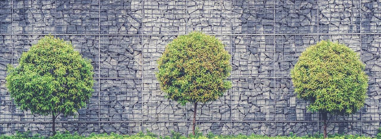 How To Prevent Wildfires | American Red Cross