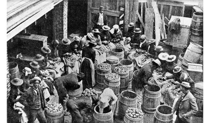 About Clara Barton | Red Cross Founder | American Red Cross