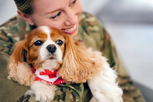 Pawsitive Reinforcement: How Red Cross Animals Comfort Military Families