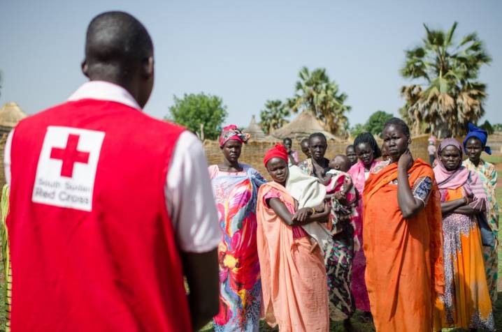 What is the Red Cross Global Network?