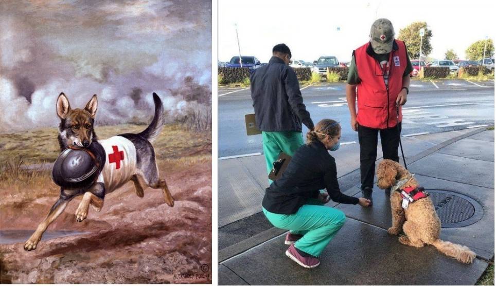 Red Cross Month: Be a Hero in Your Community