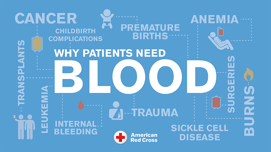 Natural Disasters Can Have Devastating Effects Not Only on Communities ...