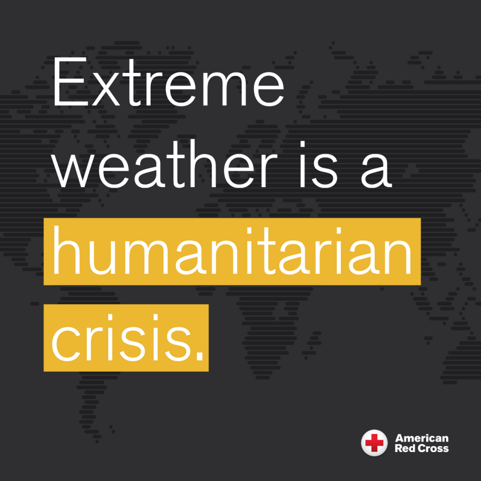 American Red Cross | News | Mount Rainier
