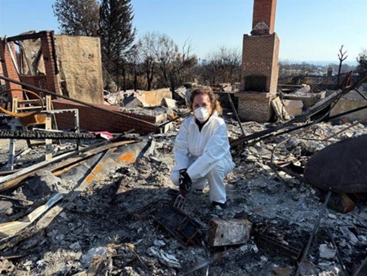 What Services Does the Red Cross Provide during a Disaster?