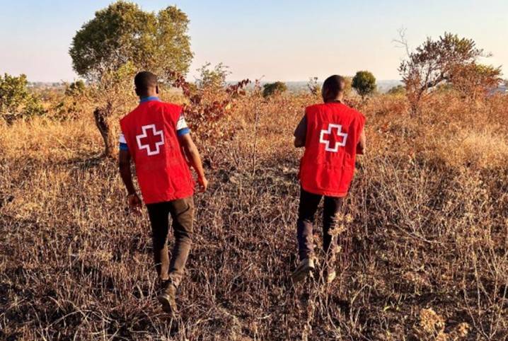 What is the Red Cross Global Network?