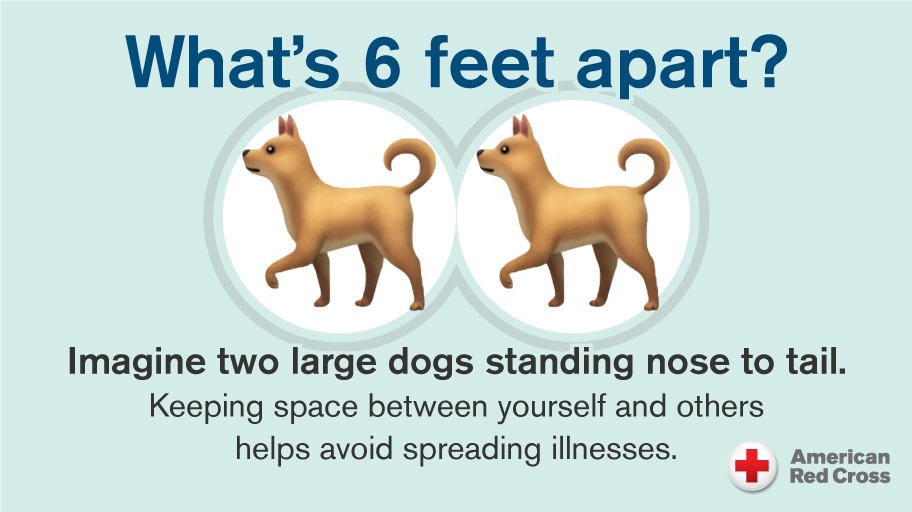 How to Social Distance During COVID-19
