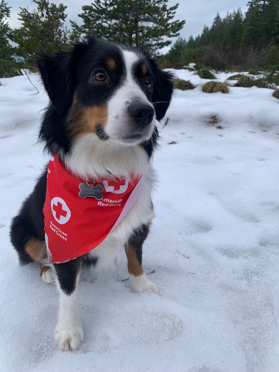 Ways To Donate | Los Angeles | American Red Cross