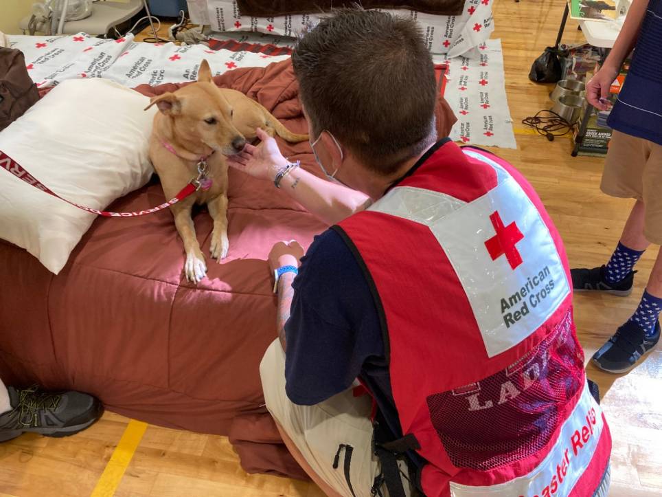 Red Cross Mental Health Volunteer Helps Hurricane Ian Survivors Cope