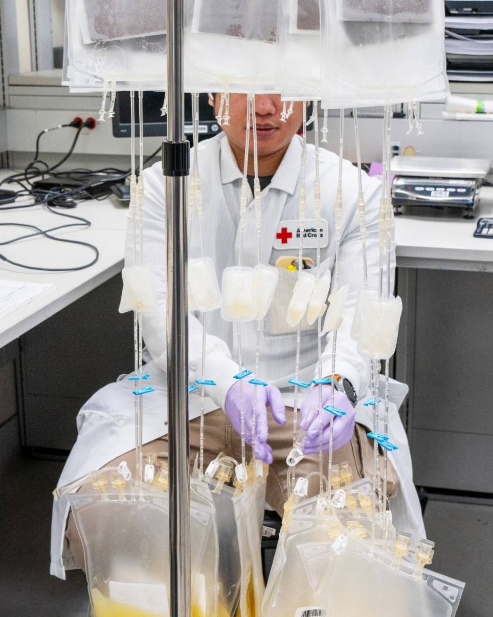 What Happens to Blood After Donation: Quality Control