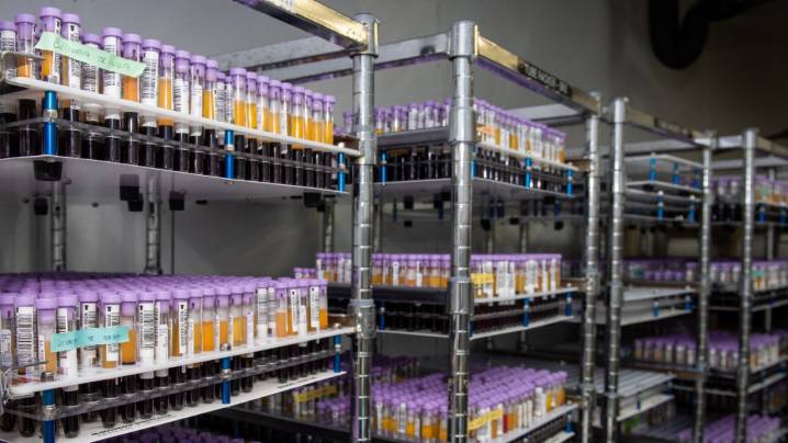 What Happens to Blood After Donation: Quality Control