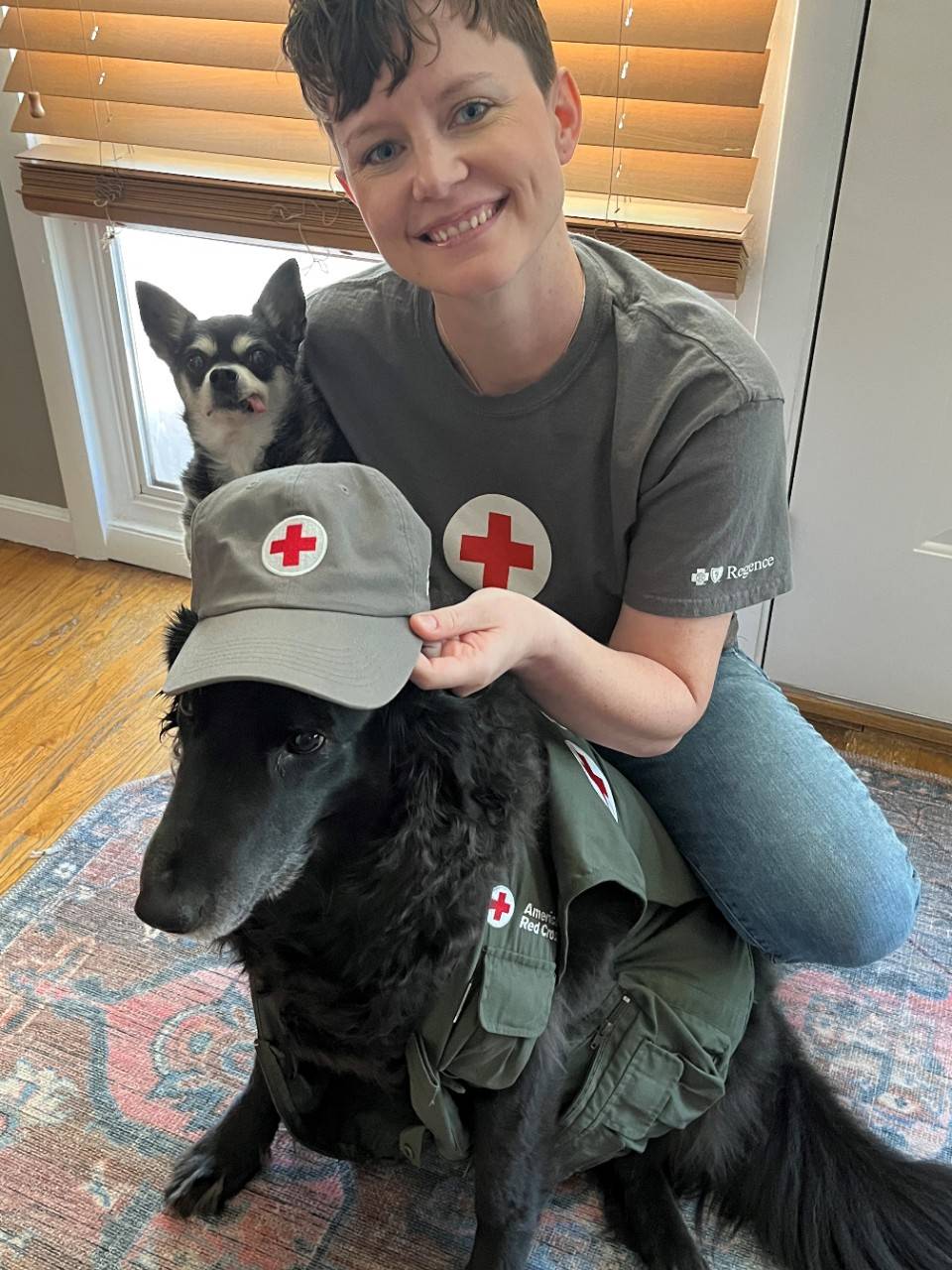 Pet Preparedness | Press Release | American Red Cross