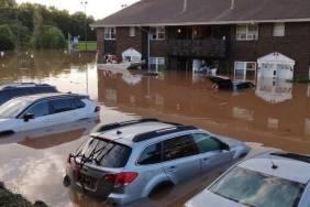 Hurricane IDA: Irma and Alfonso | News | Red Cross of New Jersey