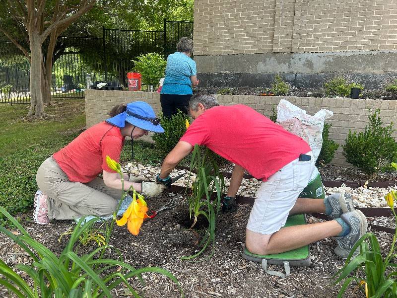 Red Cross Volunteers Plant Garden at Garland VA Medical Center | News ...