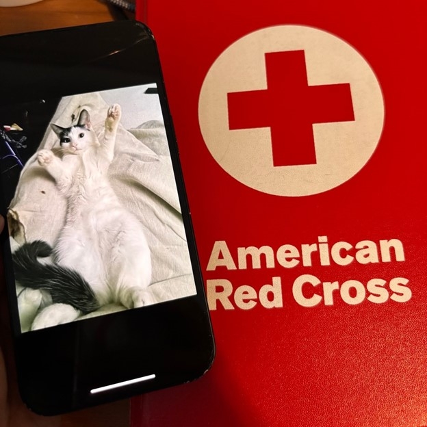 One Trauma, Several Big Hearts, and an Unforgettable Outcome | News