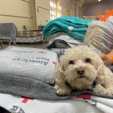 What to expect as a DAT responder | News | American Red Cross