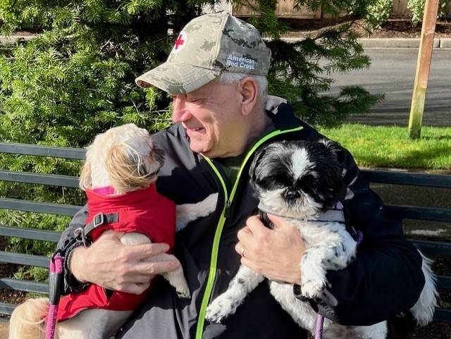 Pets and Disasters | News | American Red Cross