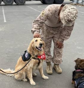 Paws with Purpose | News | American Red Cross