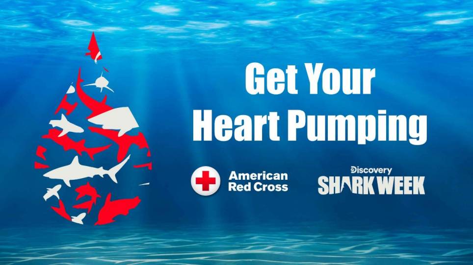 News | Get Your Heart Pumping for Shark Week
