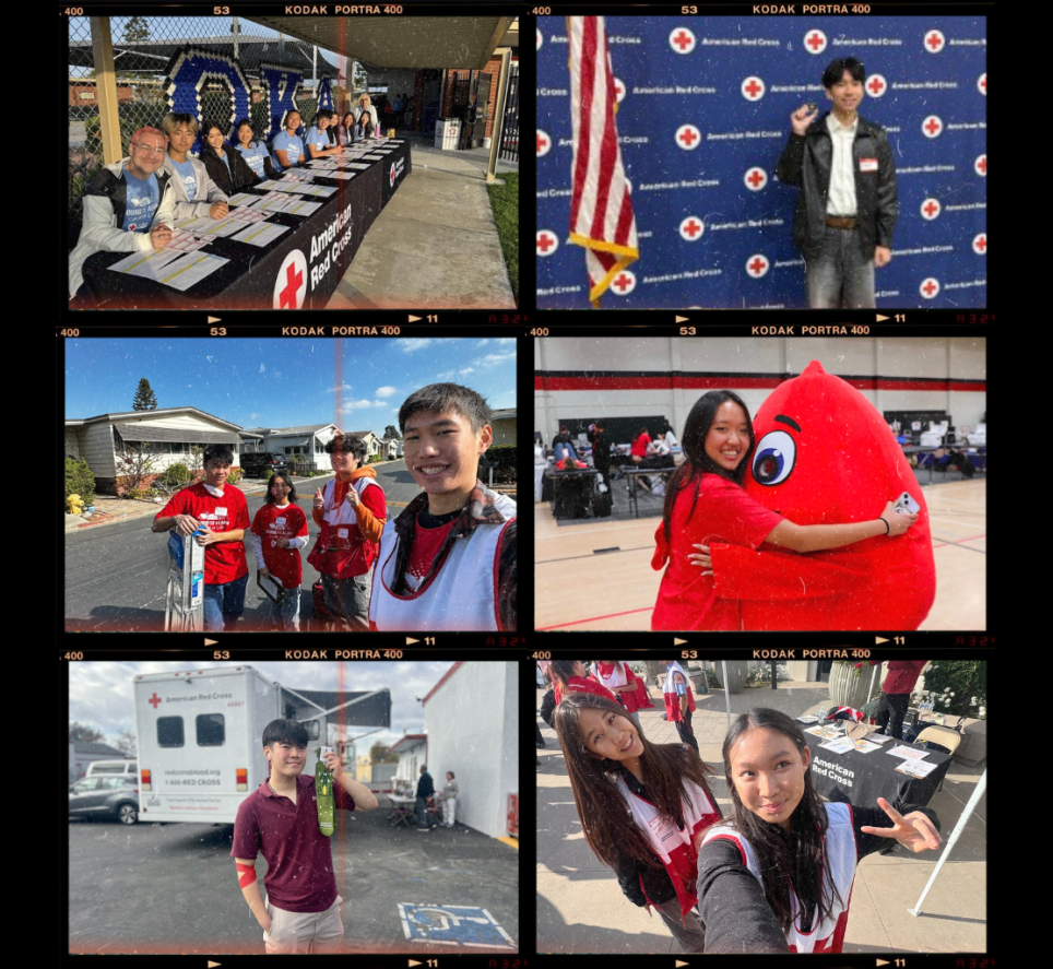 Track Your Blood Journey with the Red Cross Blood Donor App | News ...