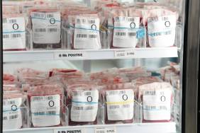 Antibody Testing | News | American Red Cross