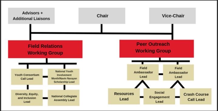 Apply to the National Youth Council | Red Cross Youth | American Red Cross