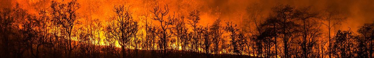 Wildfire Safety | American Red Cross