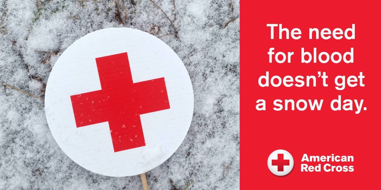 Dear Blood Donors: Sharing a Message of Gratitude this Thanksgiving