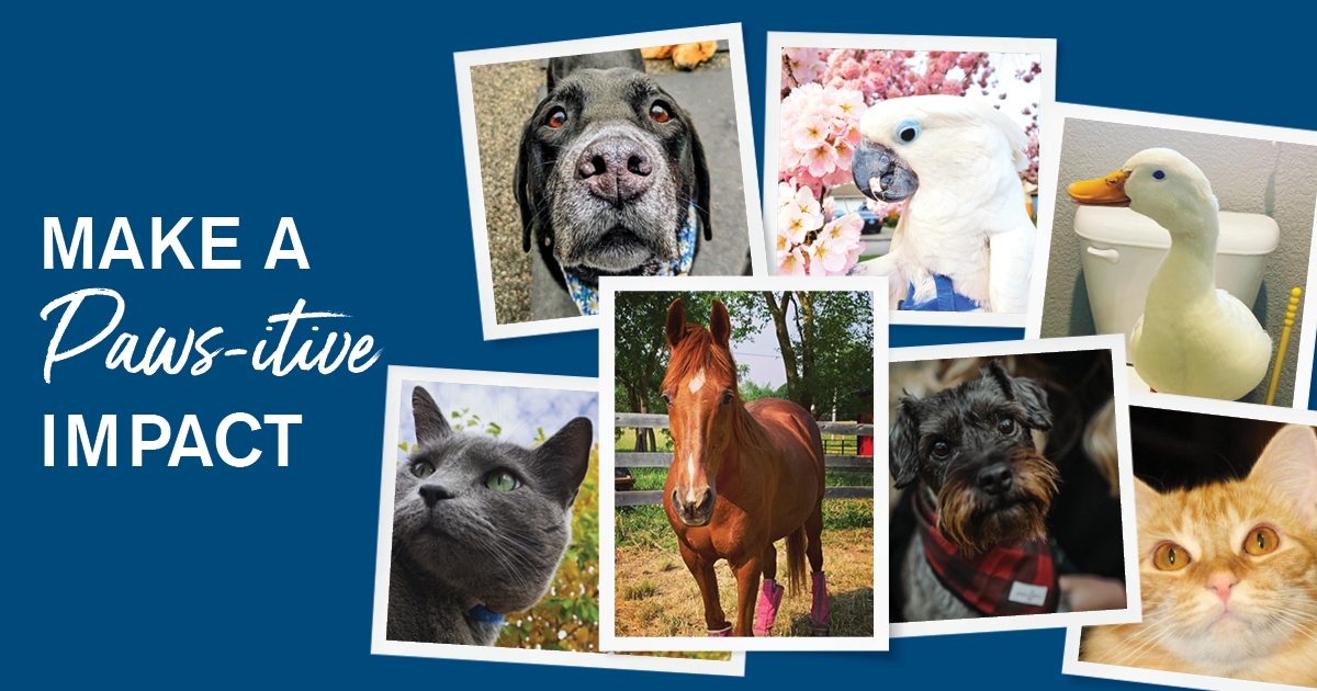 $10 Gift Card + $3K Prize Giveaway | Red Cross Blood Services