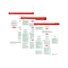 BLS Manuals & Other Materials | Red Cross Store