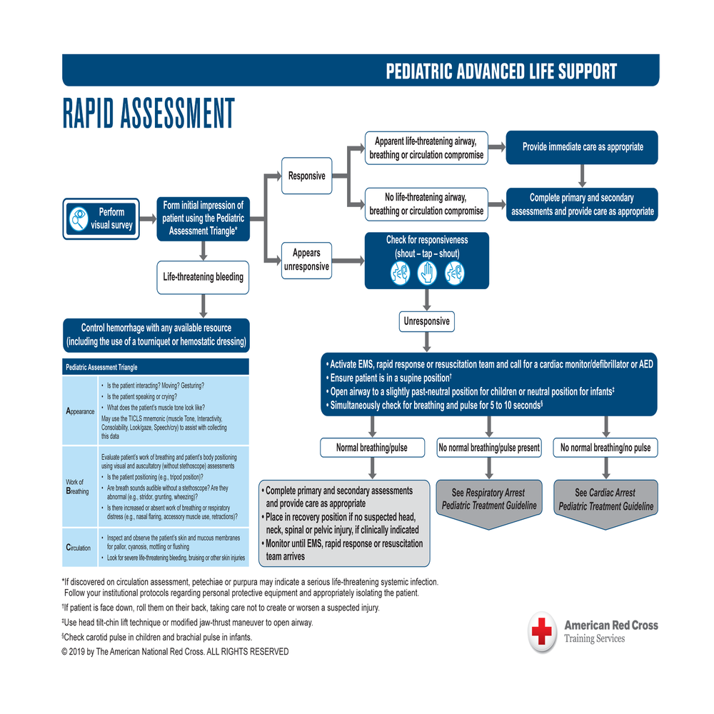 PALS Treatment Guidelines | Red Cross Store