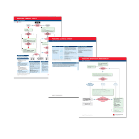 PALS Emergency Code Cards, Set/10 | Red Cross Store